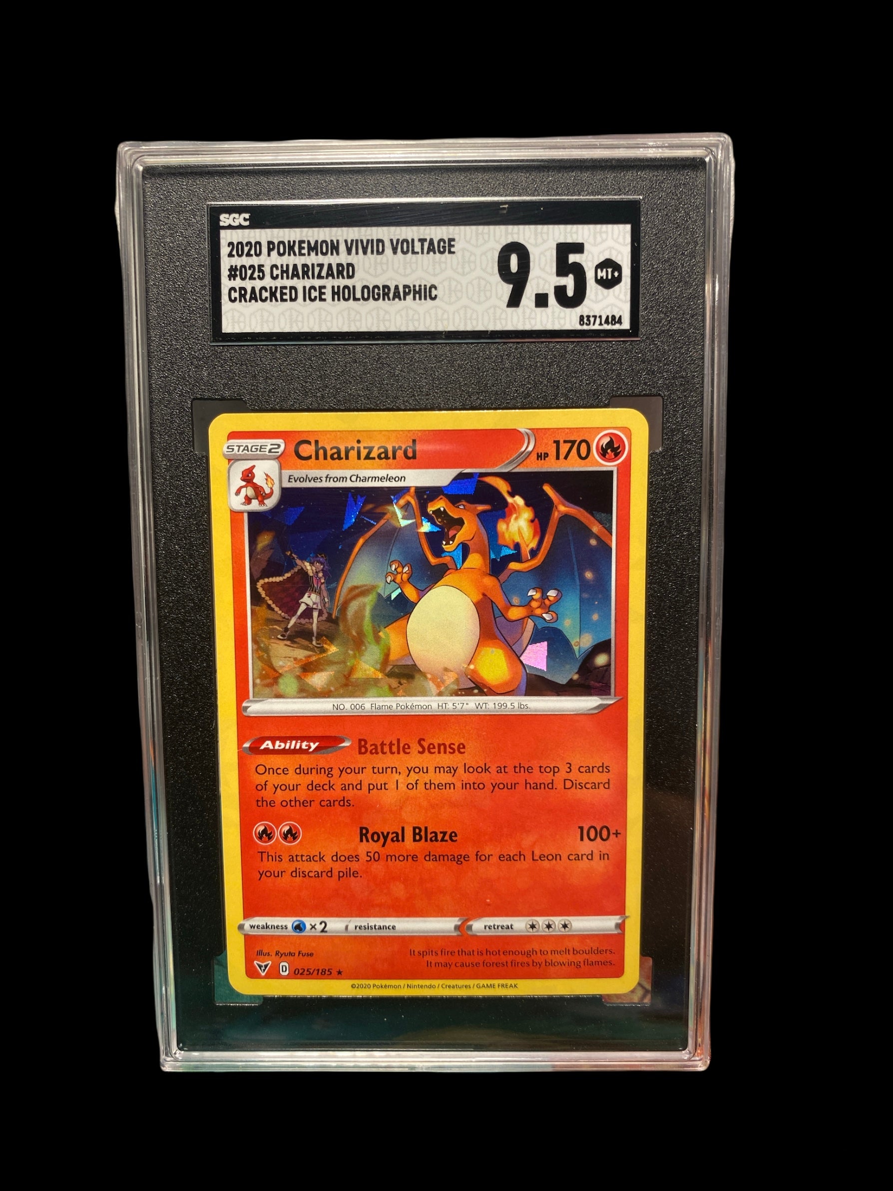 SGC graded 9.5 Charizard - Pokémon – cARTs Collection